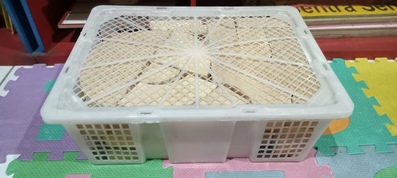 Set Acesories Balok Standar Box