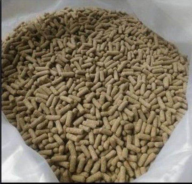 KONSENTRAT PAKAN LAYER