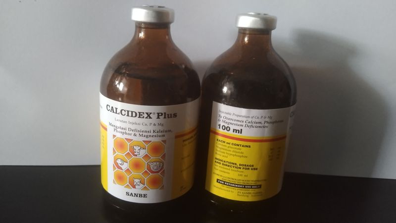 KALSIUM INJEKSI CALCIDEX PLUS 100ML