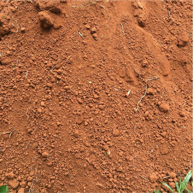 Tanah merah Top soil