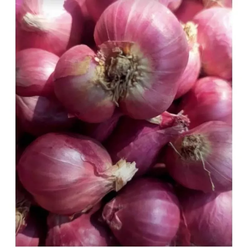 Bawang Merah