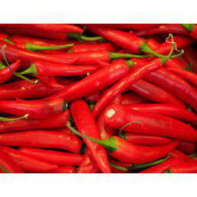 Cabe Merah