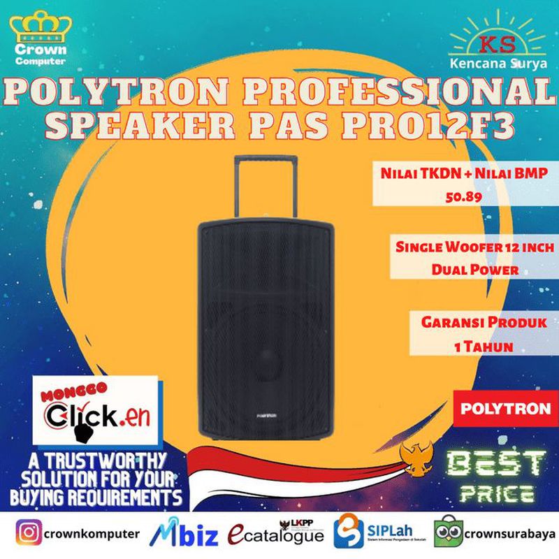 POLYTRON Professional Speaker PAS PRO12F3
