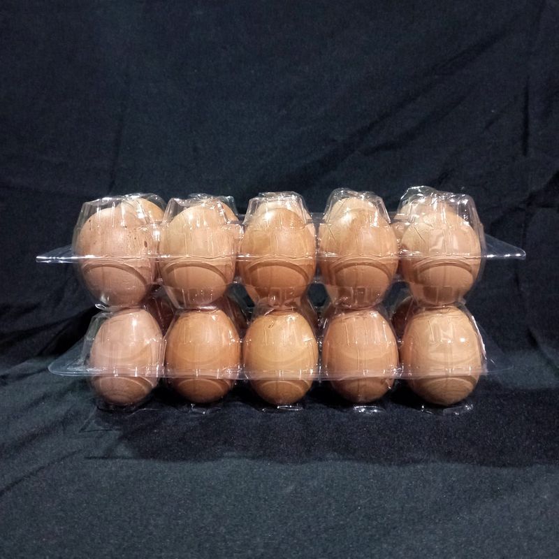 Telur Ayam TB Kemasan 10 butir