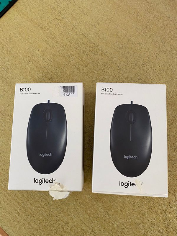 MOUSE LOGITECH B 100