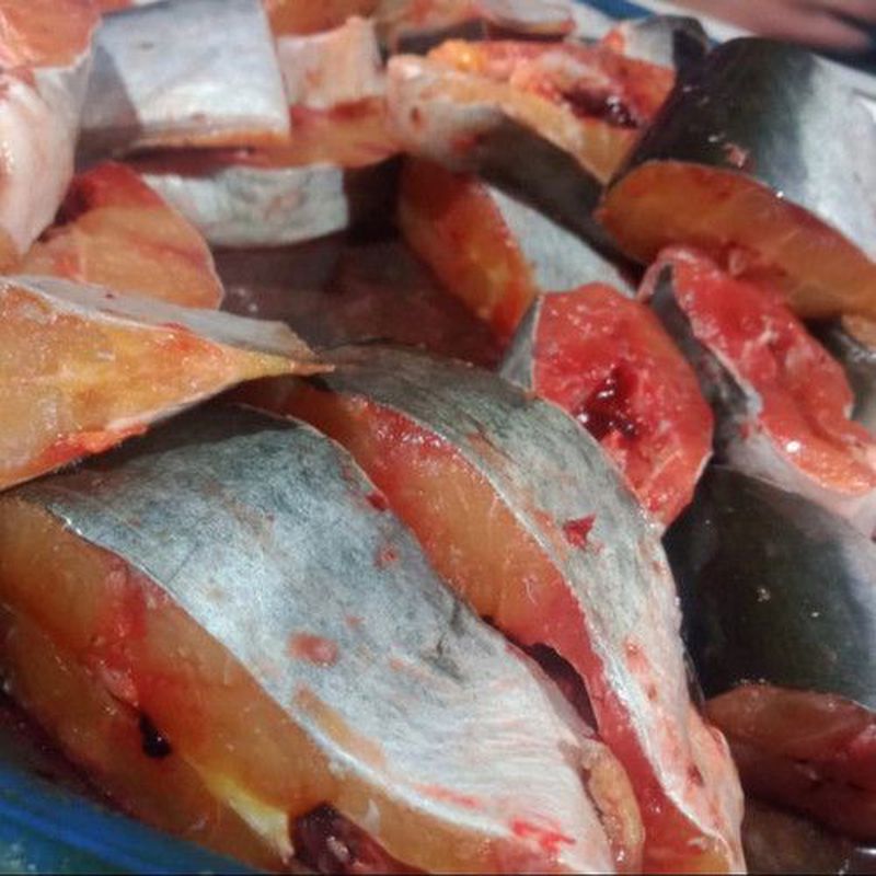 Ikan Patin