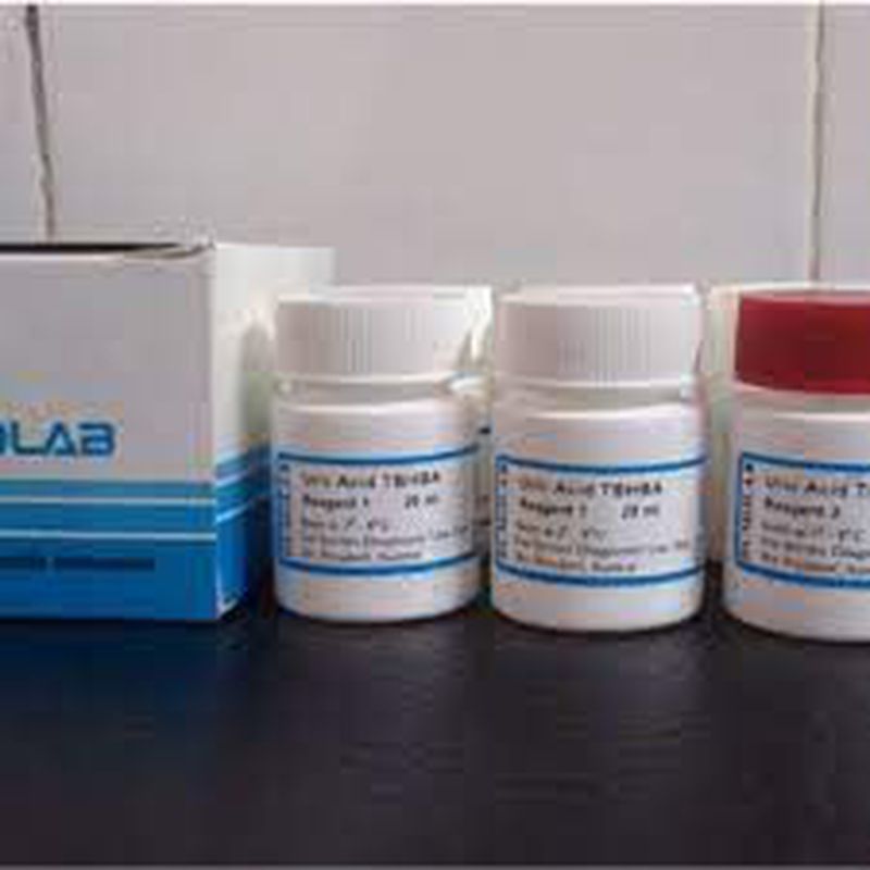 Dumo-Lab Urea UV Auto, Urease/GLDH