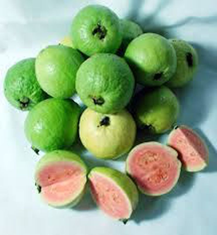 Buah Jambu Biji Merah