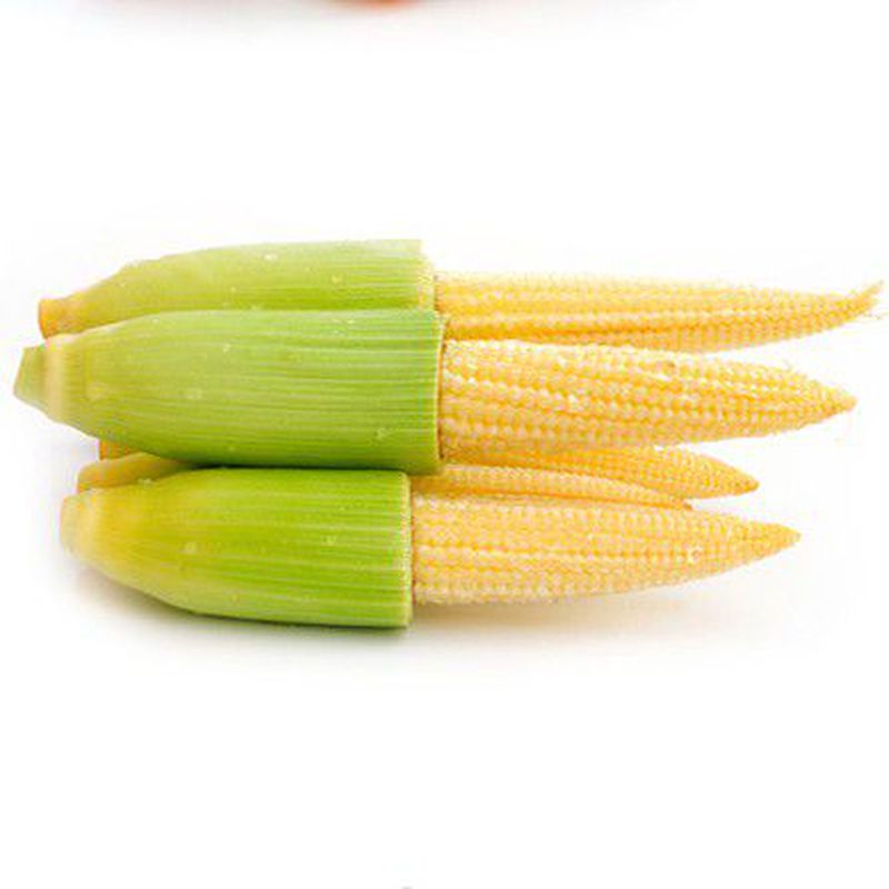 Jagung Putren