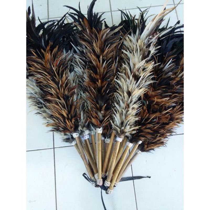 Sapu Bulu Ayam Biasa Nilon Jumbo