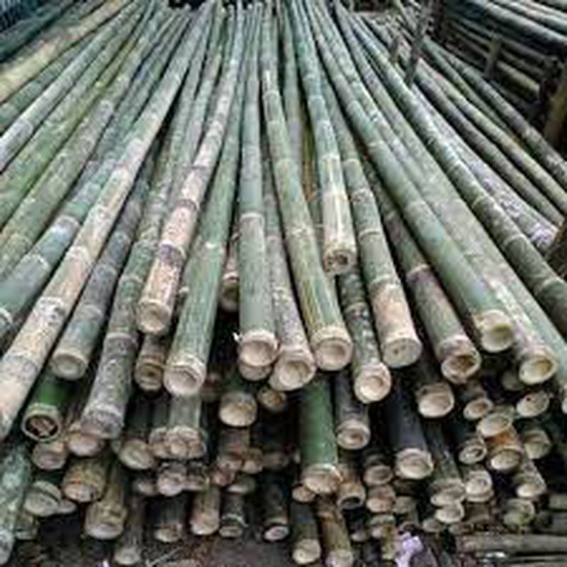Bambu diameter 8 s.d 10