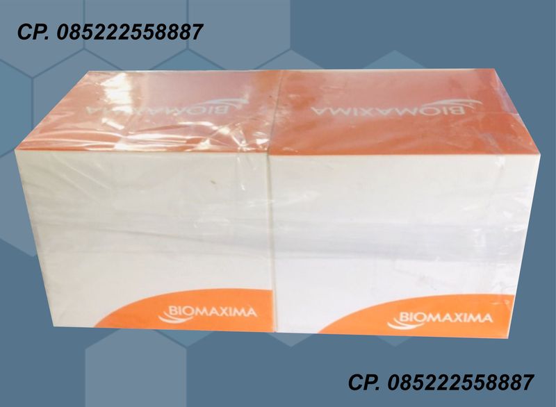 TRIGLYCERIDES GPO-PAP 4 x 50 ml BIOMAXIMA
