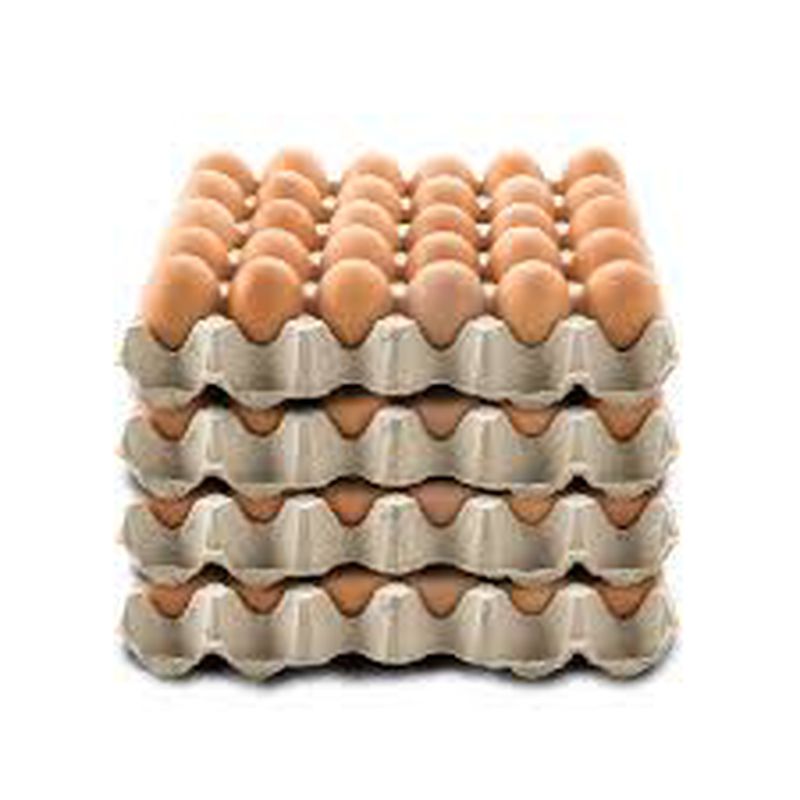 Telur ayam