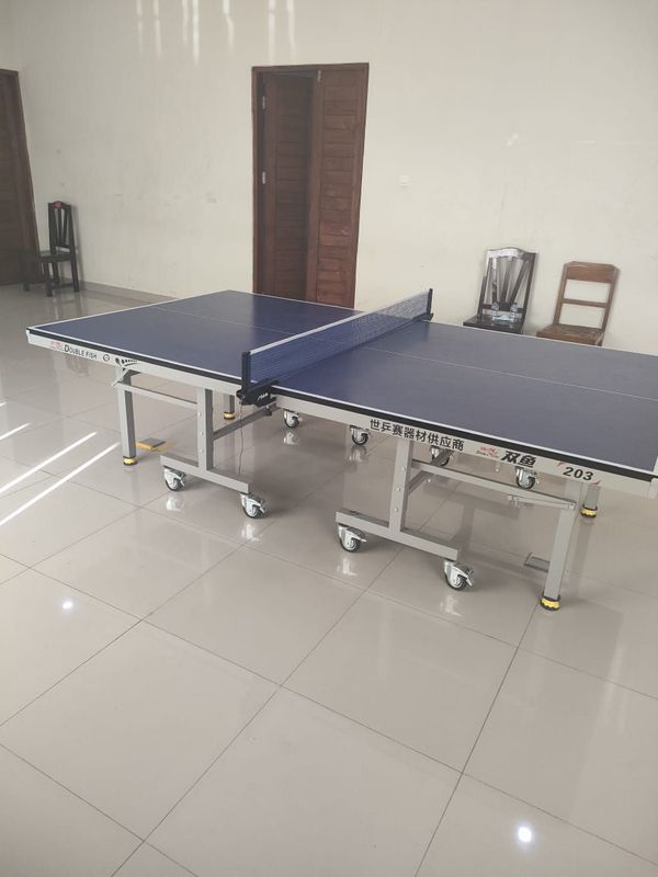 Meja Pingpong Double Fish 203