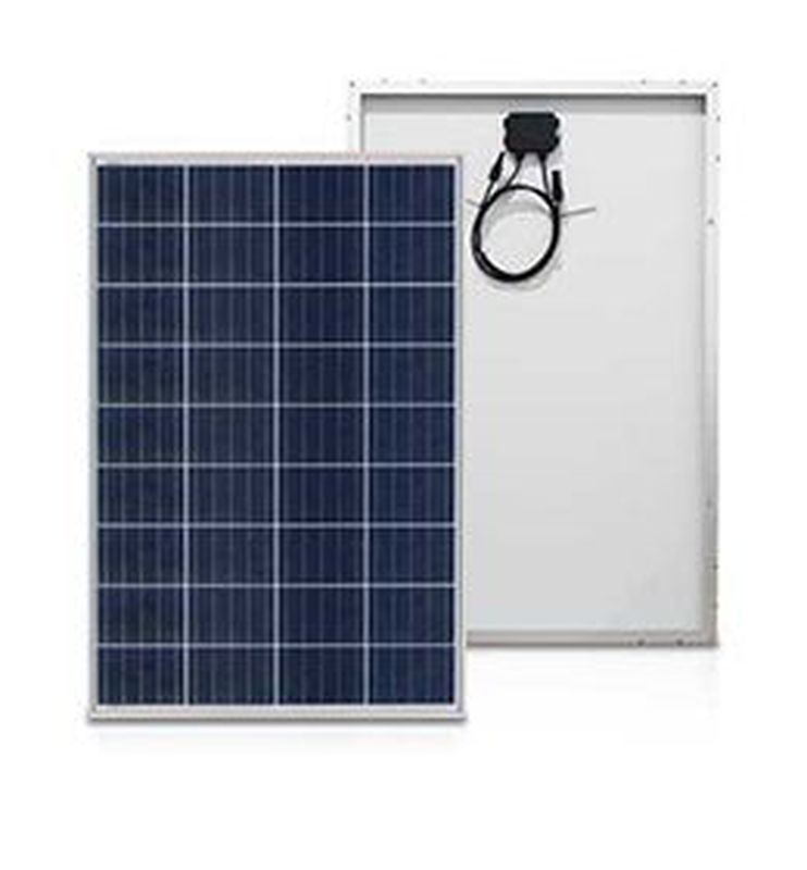 Panel Surya Poly 50 WP