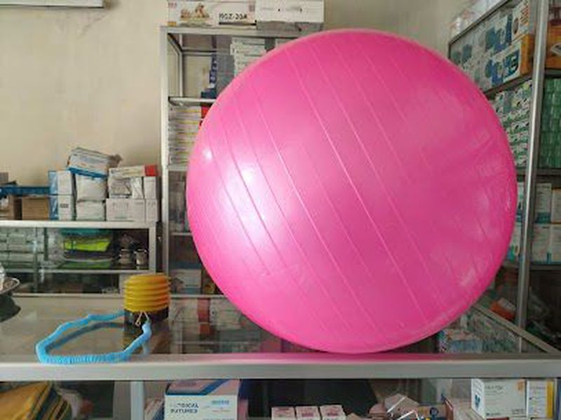 Gym Ball ( Bola Gym ) Bola Fitnes Free Pompa Size 65cm
