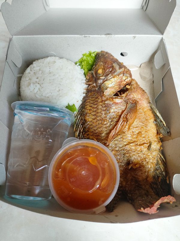 Nasi Kotak