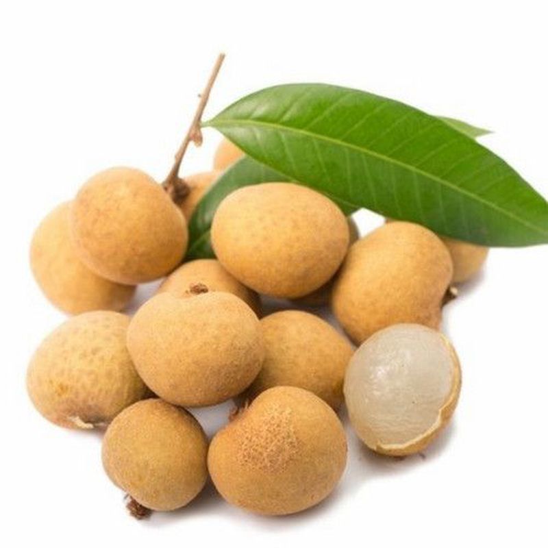longan