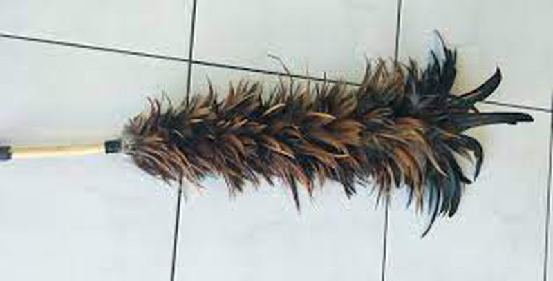 Sapu Bulu Ayam