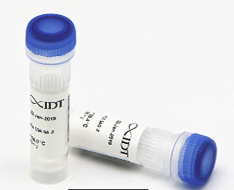 KIT PCR Integrated DNA technologies