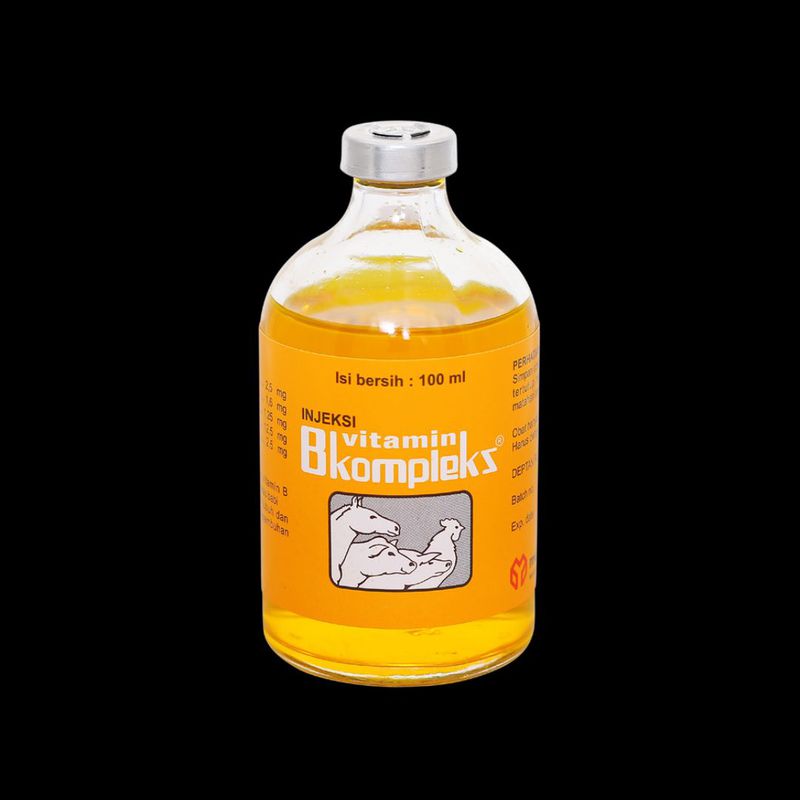 Inj Vit B Komp 100 Ml