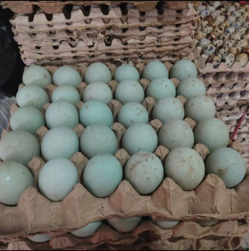 Telur Bebek