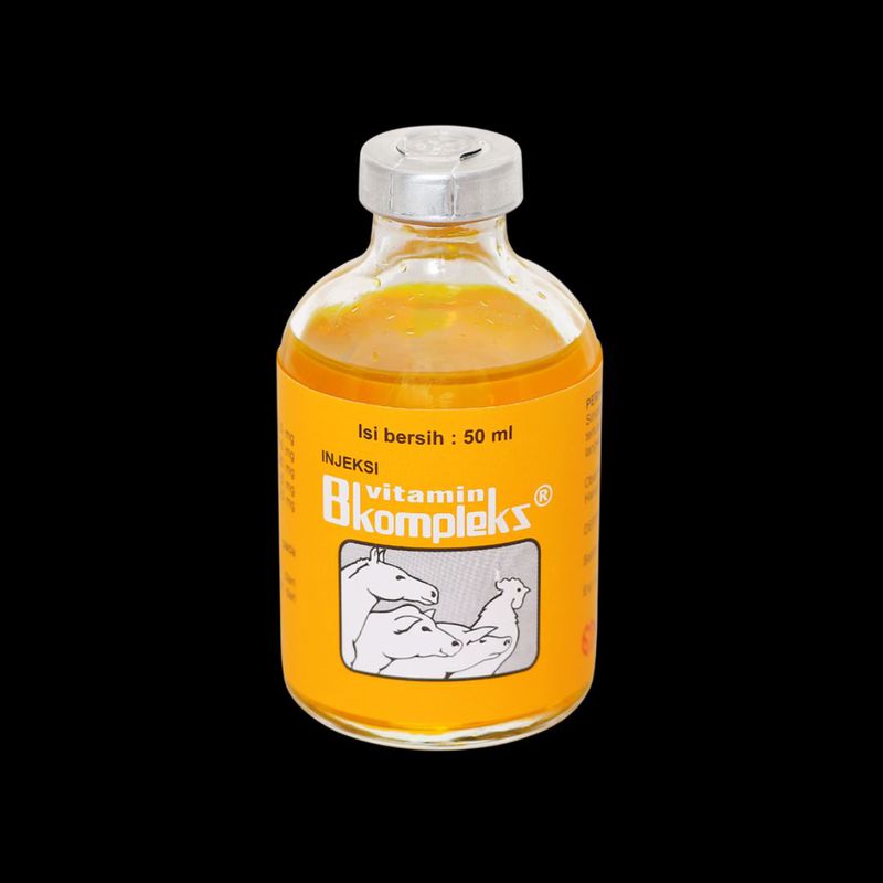 Inj Vit B Komp 50 Ml