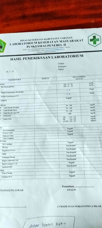 hasil pemeriksaan laboratorium (puskesmas penebel 2)