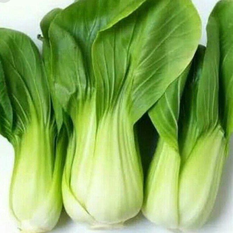 Pokcai