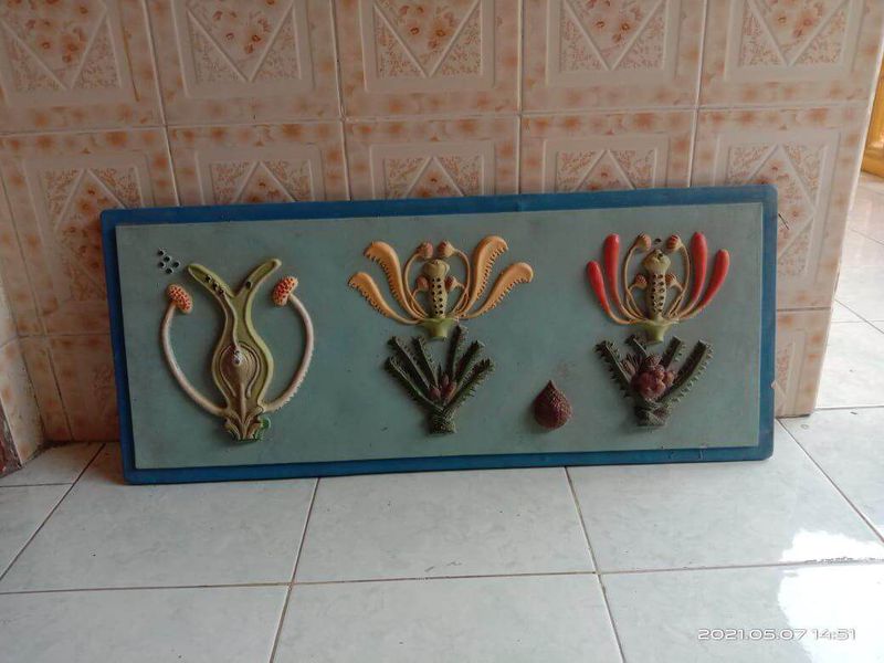 Penampang Penyerbukan Bunga Salak