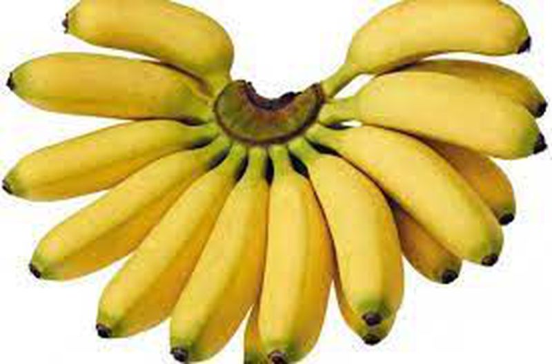 Pisang