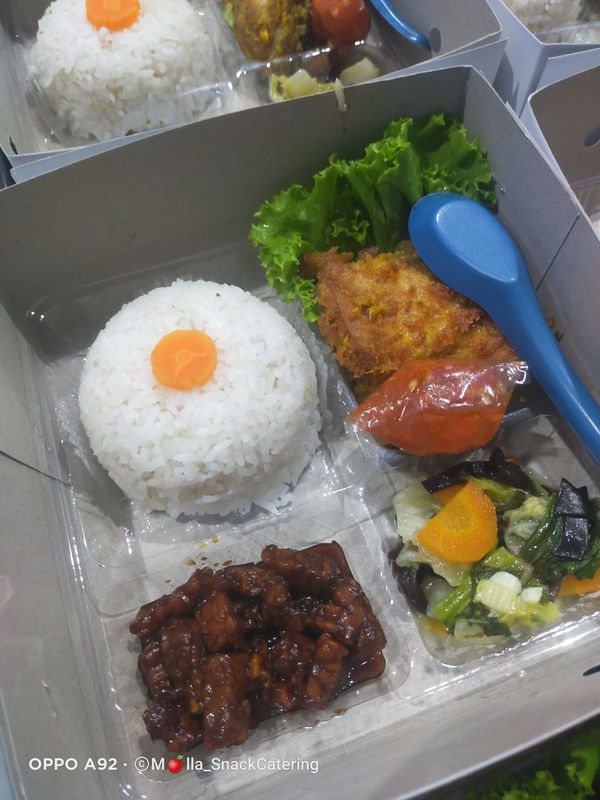 Nasi box