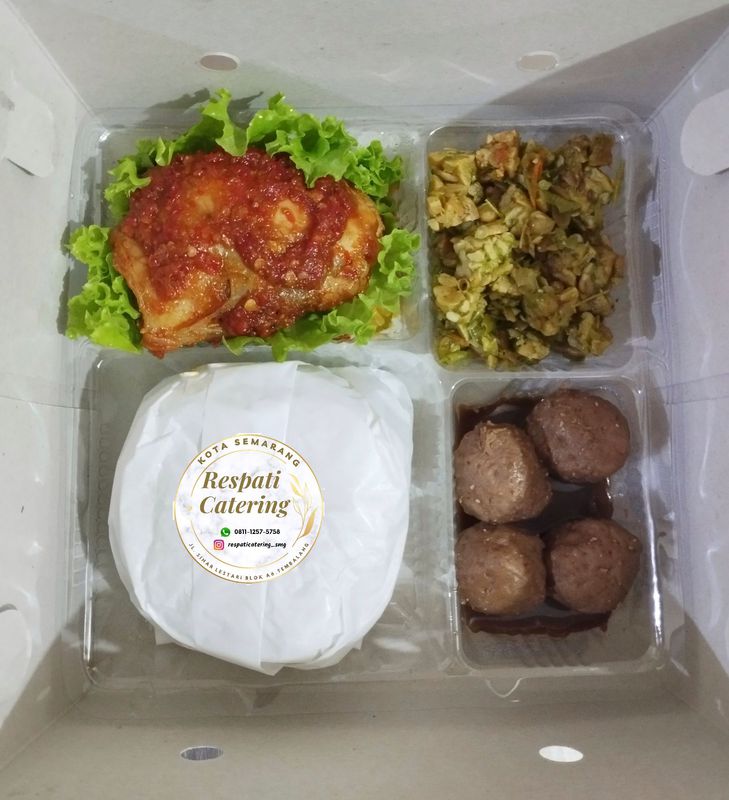 Nasi Box RMS 1