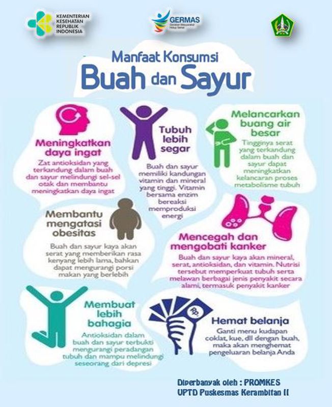 Stiker Gizi Seimbang (Sayur dan Buah) - A4