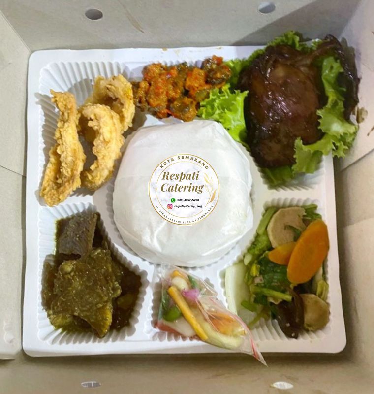 Nasi Box RMS 5