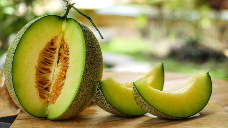Melon