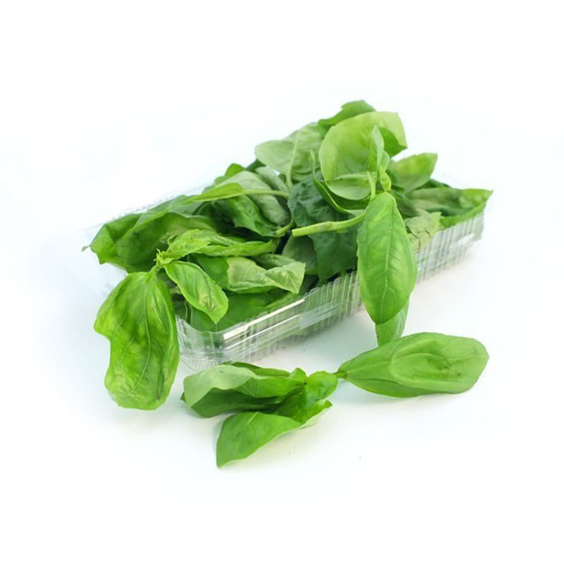Basil Fresh