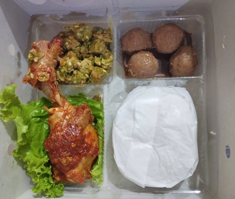 Nasi Box DMS 1