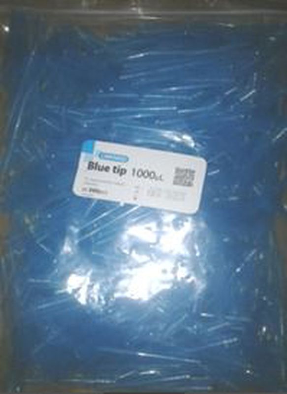 Blue Tips 500 pcs