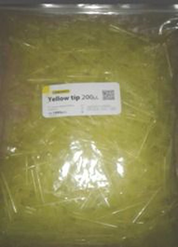 Yellow Tips 1000 pcs