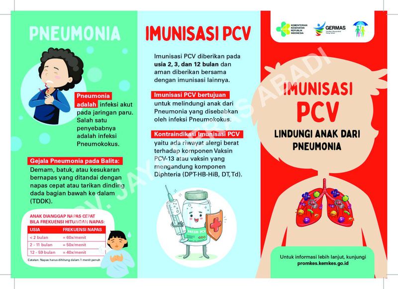 LEAFLET / BROSUR PNEUMONIA