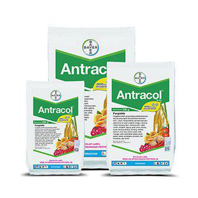 Fungisida ANTRACOL 70WP 70 WP 500 Gram