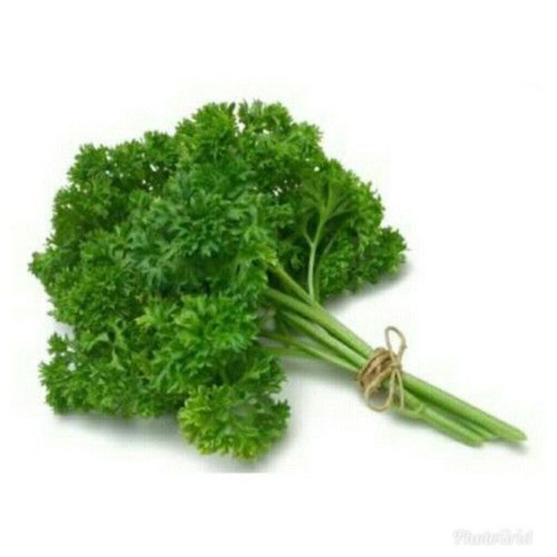 Daun Parsley