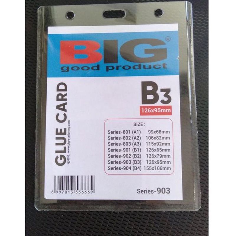 BIG CARD CASE B3