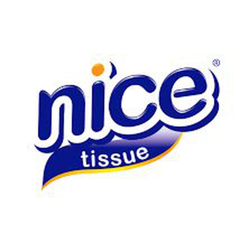 Tissue Nice - Besar 900s