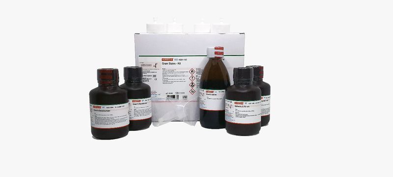 Gram Stain Kits
