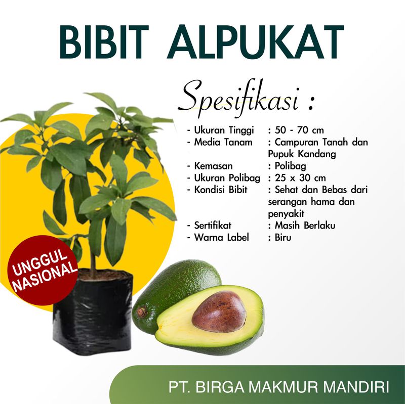 BIBIT POKAT IJO