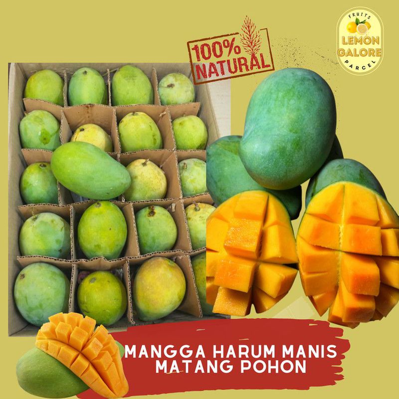 mangga harum manis