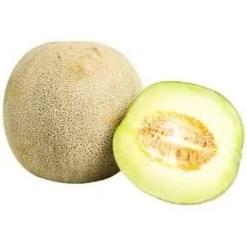 Melon