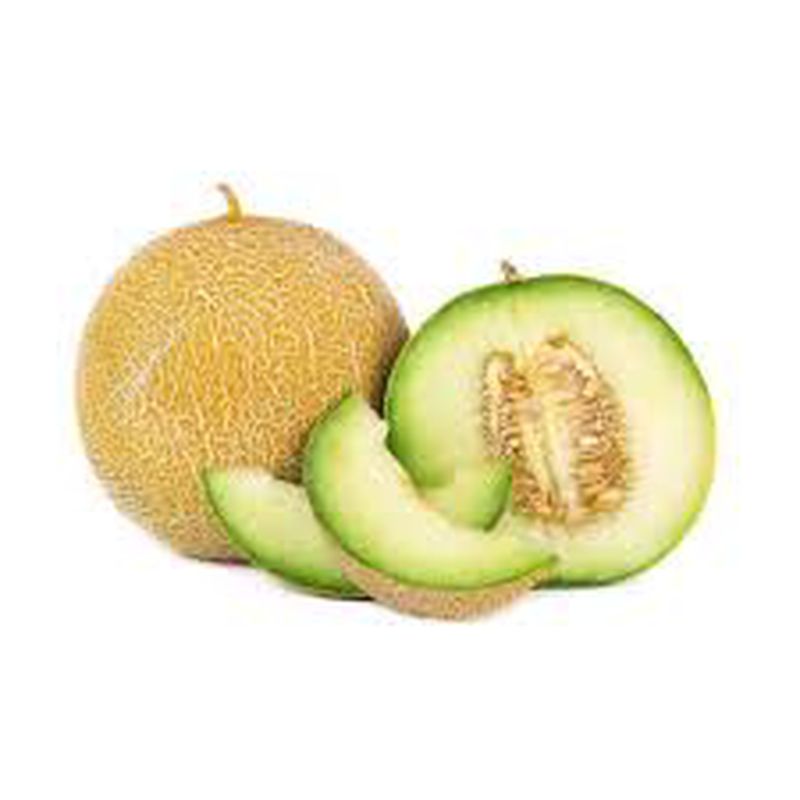 Melon